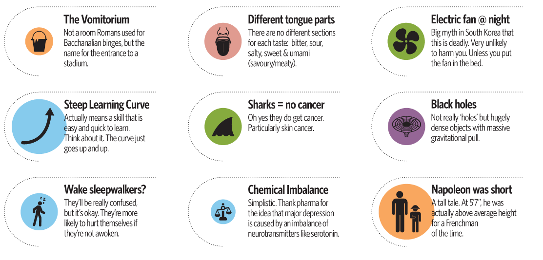 Common Misconceptions: World’s Most Contagious Falsehoods – TOK Topics