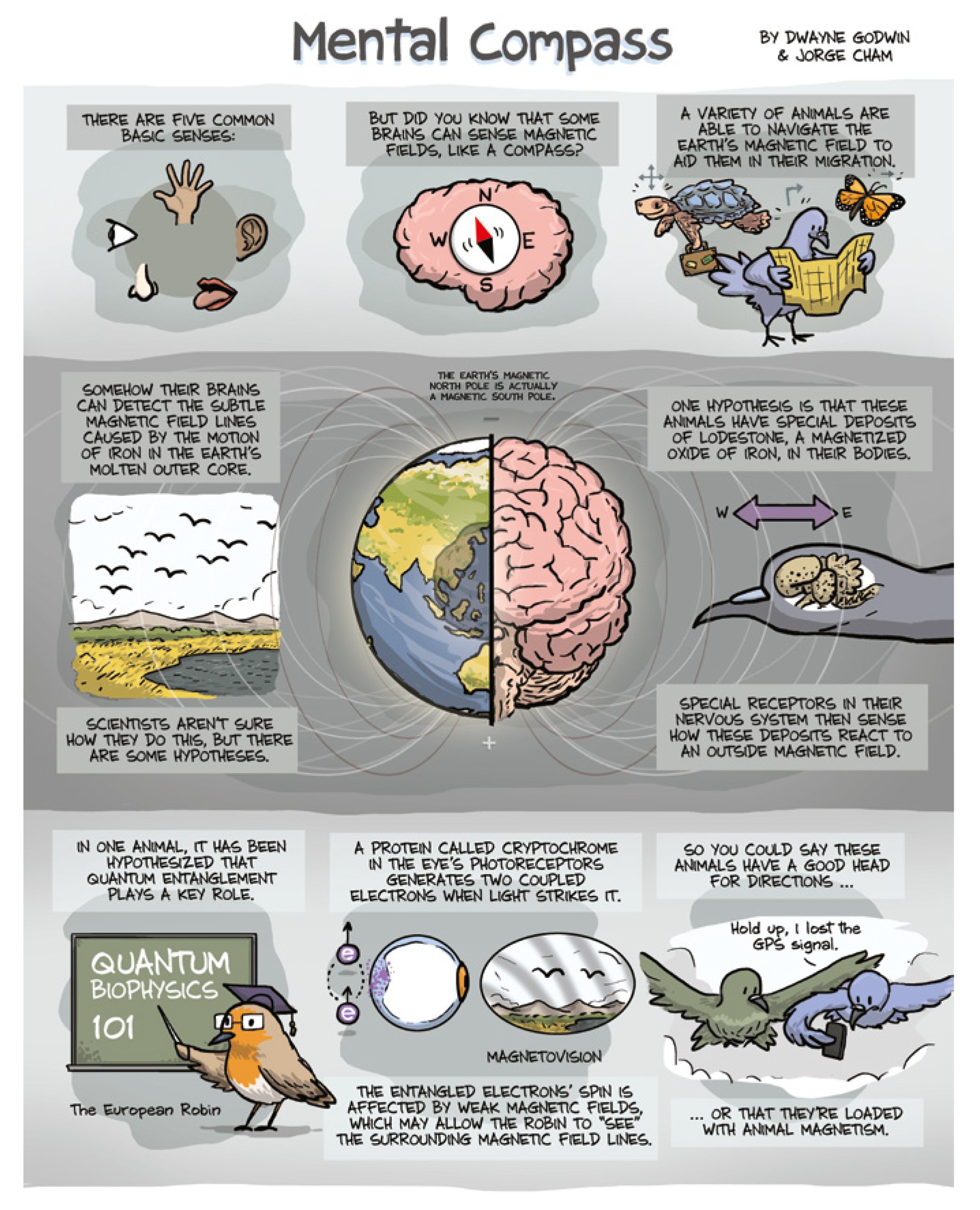 Sense Perception Materials, Handouts, Activities – TOK Topics